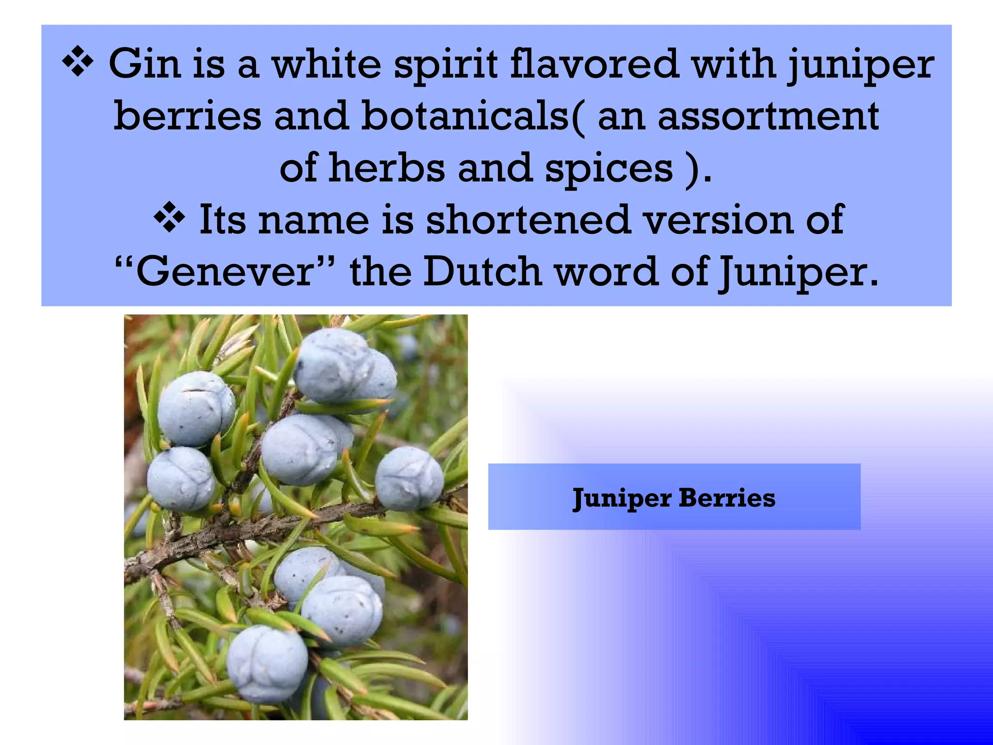 Gin | PPT | Alcoholic Beverages | Food & Drink