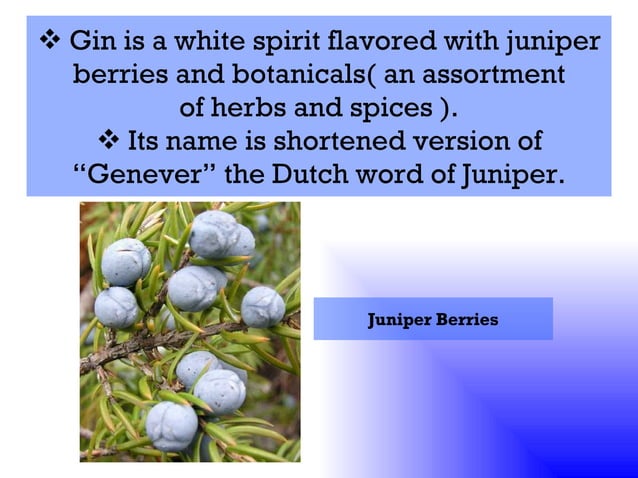 Gin | PPT | Alcoholic Beverages | Food & Drink
