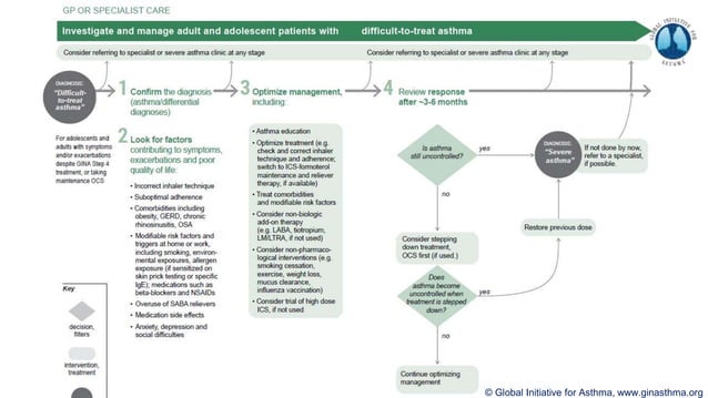 GINA-severe-asthma-pocket-guide-V2.0-slides.pptx | Lung and Respiratory ...