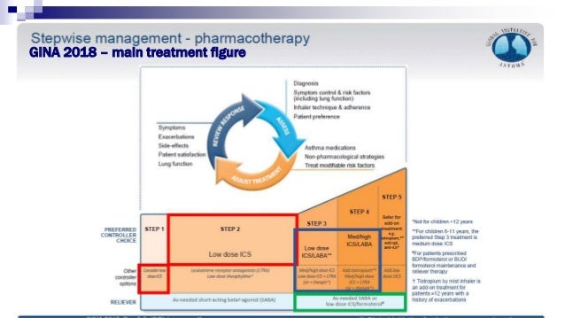 What Does The 2019 Gina Strategy Report Mean For Asthma Management ...