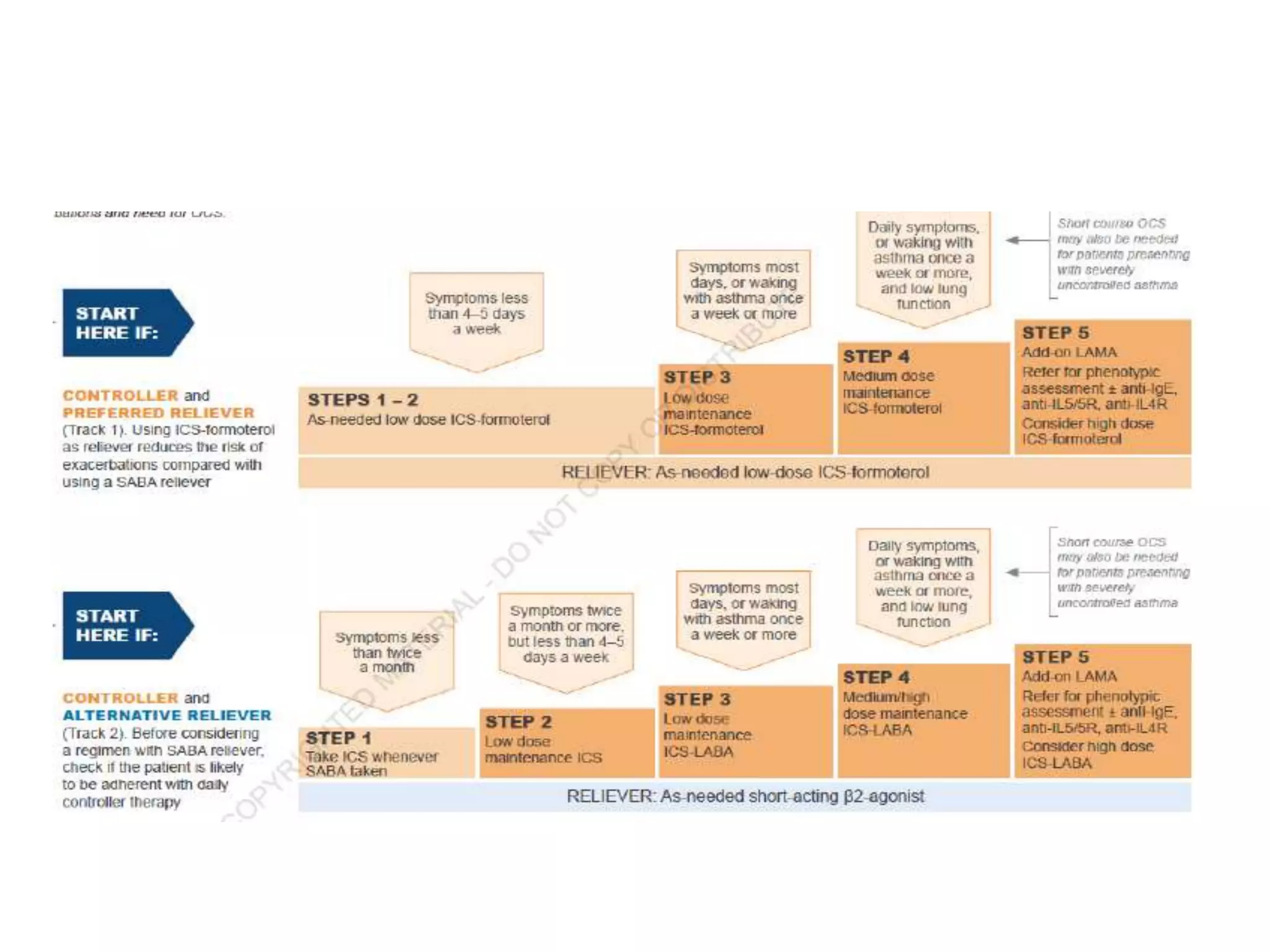 GINA Guidelines Asthma | PPTX