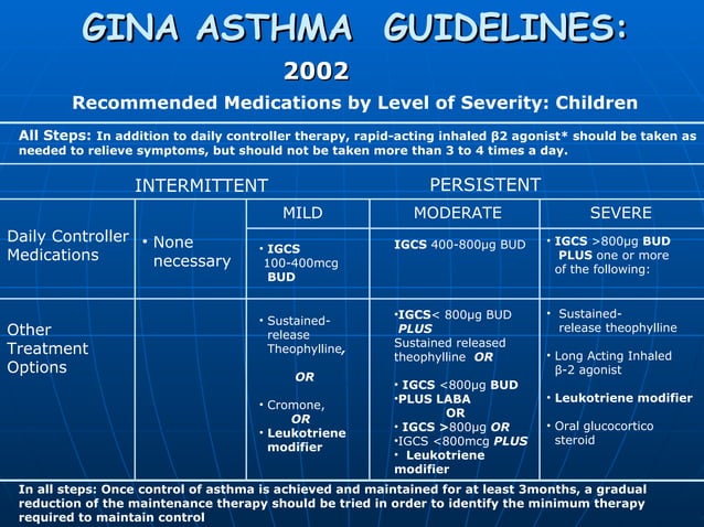 Global Initiative For Asthma Guidelines 2008