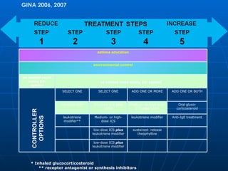 Global Initiative For Asthma Guidelines 2008 | PPT