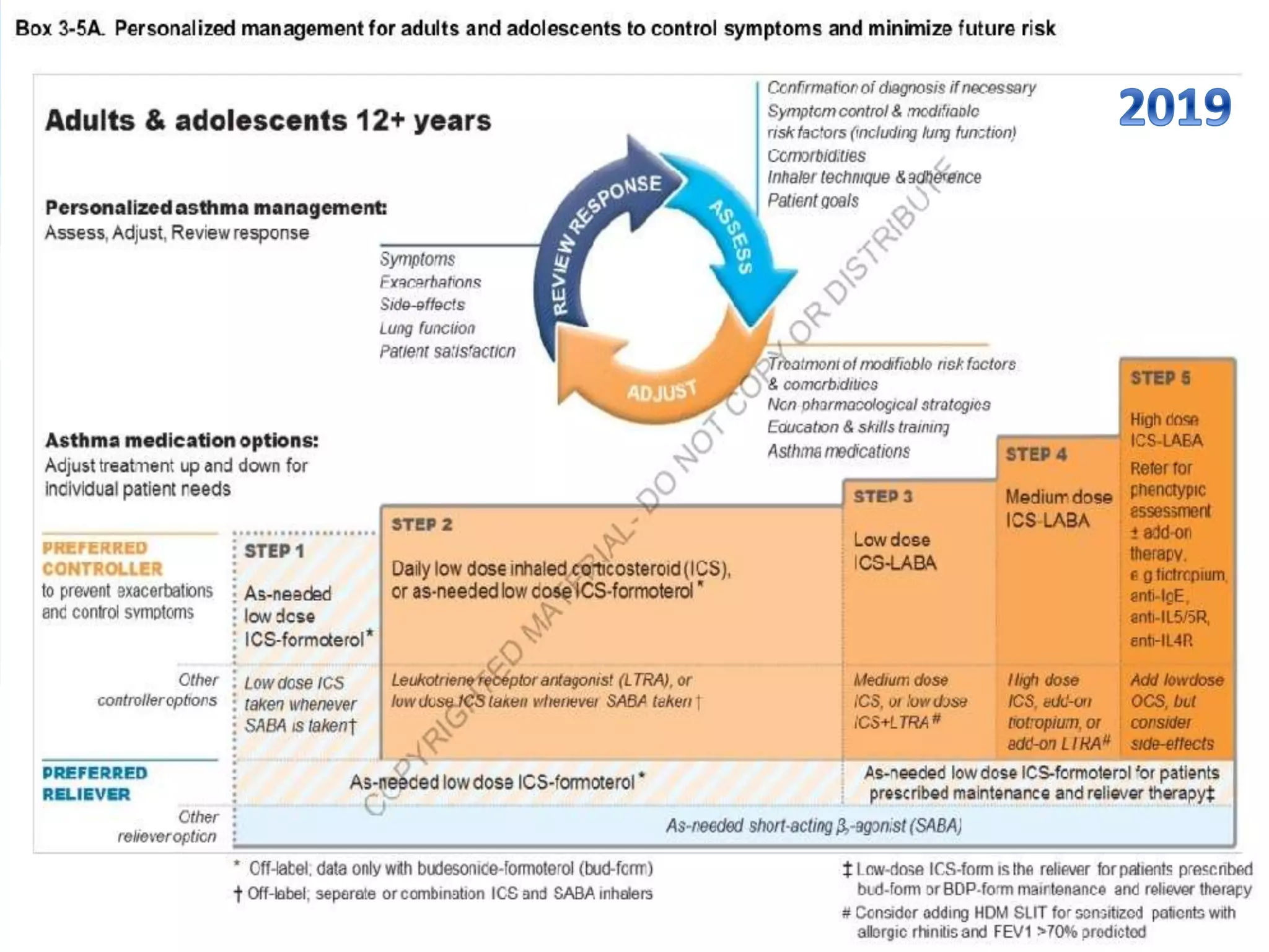 GINA 2019 Guidelines for asthma | PPTX