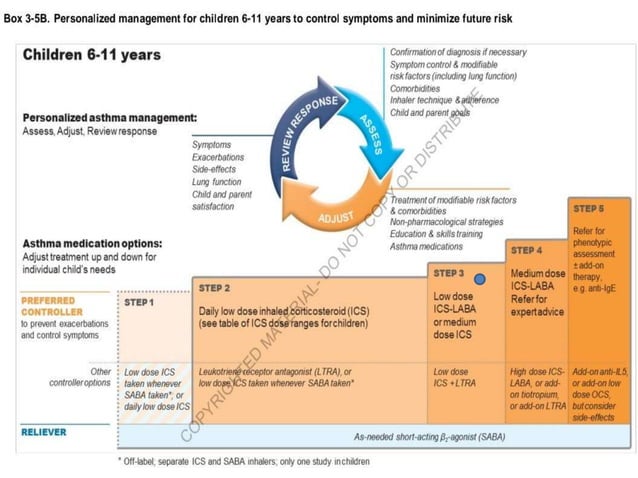 GINA 2019 Guidelines for asthma | PPTX