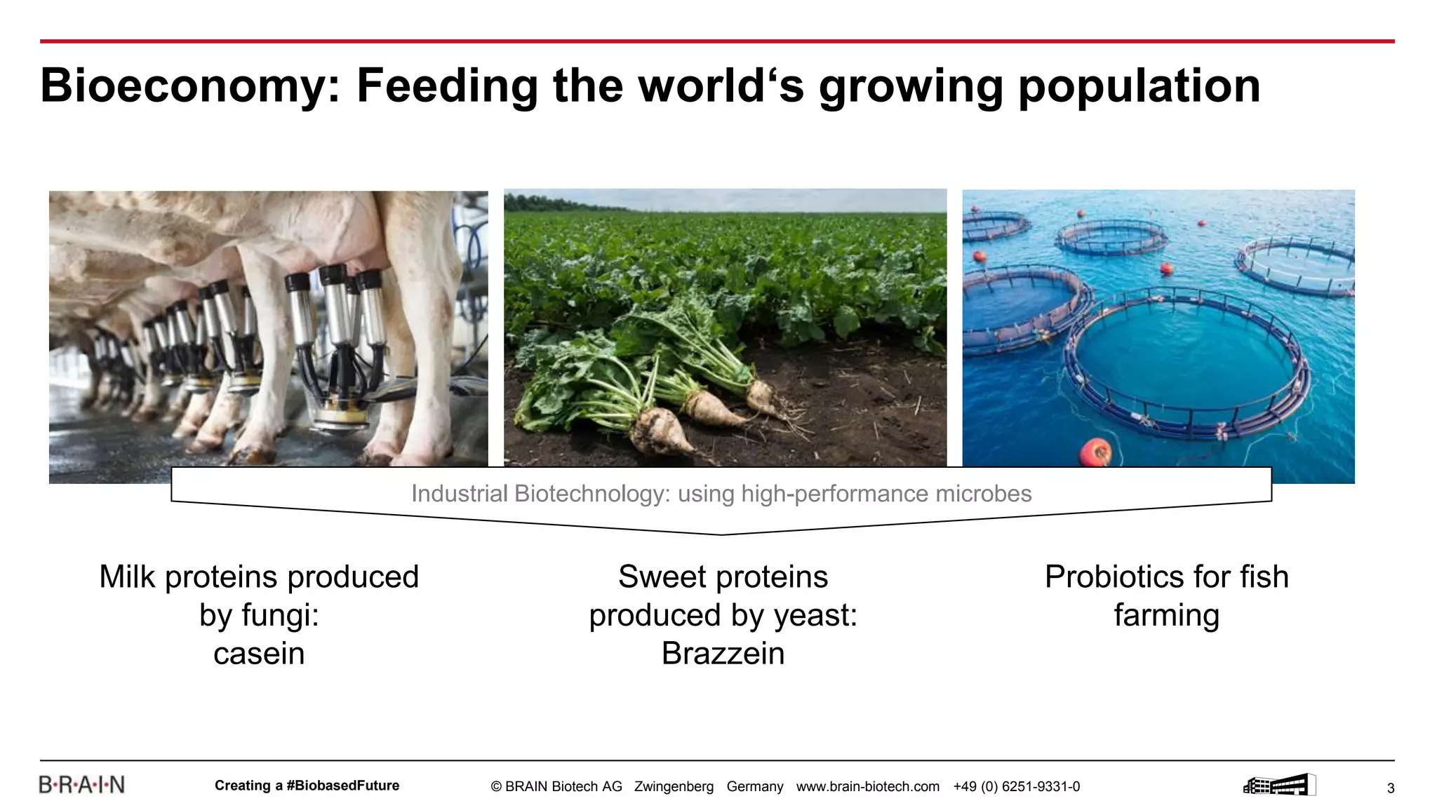 MICROBIAL BATTERY RECYCLING | PPT