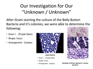 Ginas draft of presentation1 | PPT