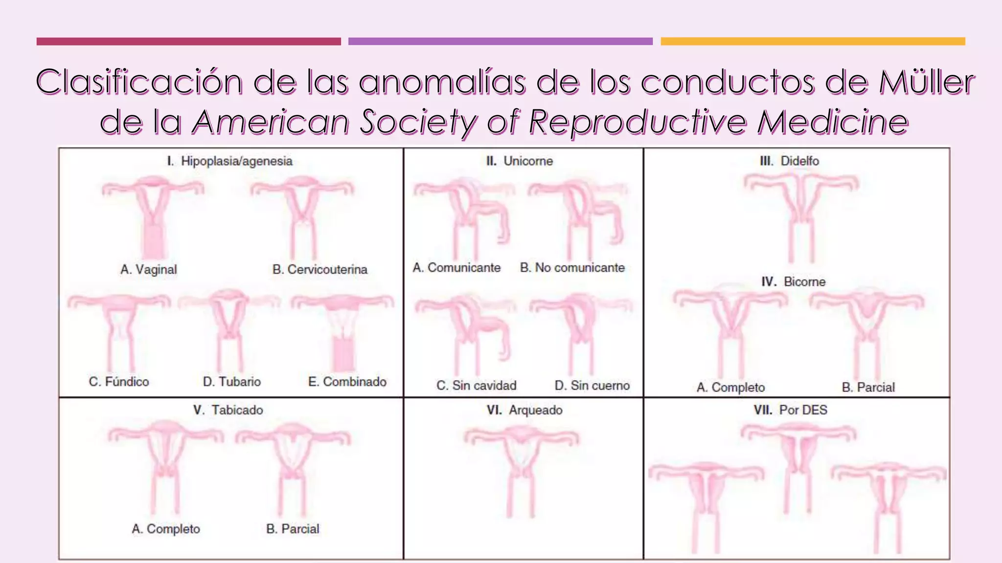 anomalías congénitas del aparato reproductor femenino | PPTX