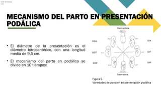 PRESENTACIÓN FETAL TRABAJO DE PARTO PODALICO | PPTX