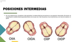 PRESENTACIÓN FETAL TRABAJO DE PARTO PODALICO | PPTX