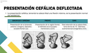 PRESENTACIÓN FETAL TRABAJO DE PARTO PODALICO | PPTX