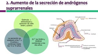 Pubertad normal y alteraciones | PPTX