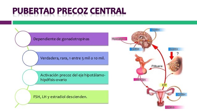 Pubertad normal y alteraciones