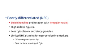 GI NETs- a type of ppt of gastroenterology neuroendocrine tumors | PPTX
