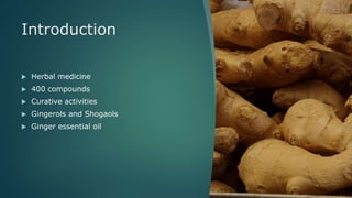 Medicinal biospecificity of ginger and its bioactive compounds | PPTX