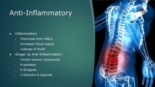 Medicinal biospecificity of ginger and its bioactive compounds | PPTX