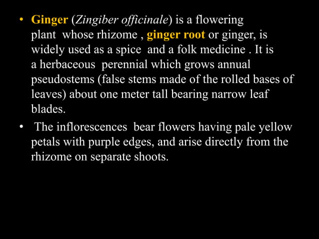 Ginger | PPTX | Gardening | Home & Garden