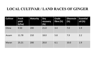 CROP IMPROVEMENT OF GINGER | PPTX
