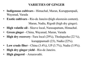 CROP IMPROVEMENT OF GINGER | PPTX