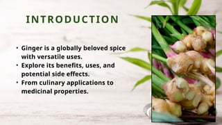Ginger: Health Benefits, Uses, and More! | PPTX