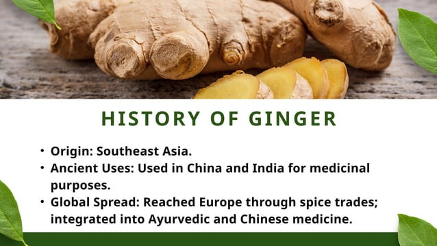 Ginger: Health Benefits, Uses, and More! | PPTX