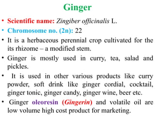 Cultivation Practice of Ginger in Nepal.pptx