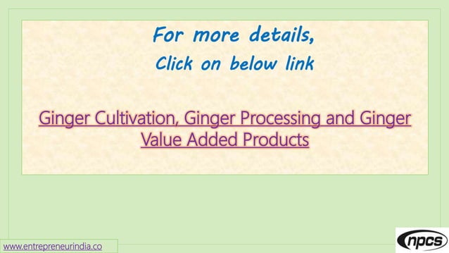 Ginger Cultivation, Ginger Processing and Ginger Value Added Products ...