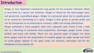 Ginger Cultivation, Ginger Processing and Ginger Value Added Products ...