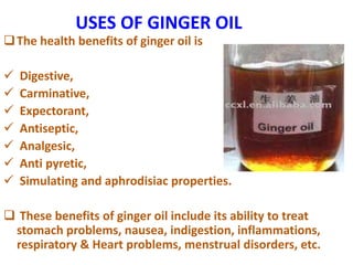 Ginger pilot ppt copy | PPTX | Perfume and Fragrance | Beauty