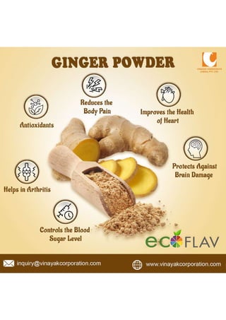 Harnessing the Power of Ginger Powder: Culinary and Medicinal Marvel | PDF