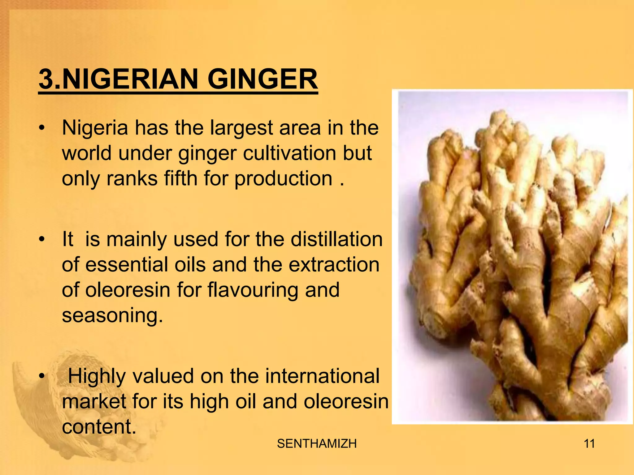 Ginger processing(FROM FIELD TO FORK) | PPTX