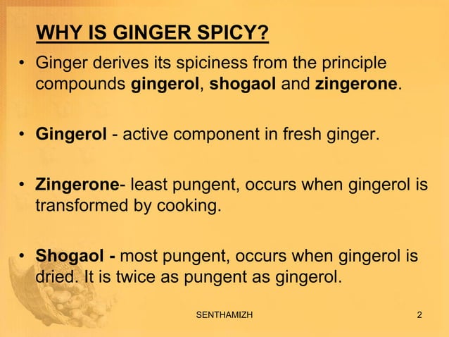 Ginger processing(FROM FIELD TO FORK) | PPTX | Gardening | Home & Garden