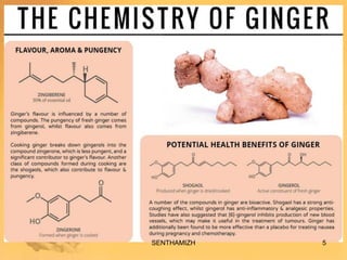 Ginger processing(FROM FIELD TO FORK) | PPTX