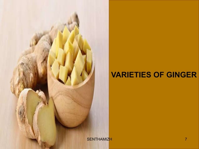 Ginger processing(FROM FIELD TO FORK) | PPTX | Gardening | Home & Garden