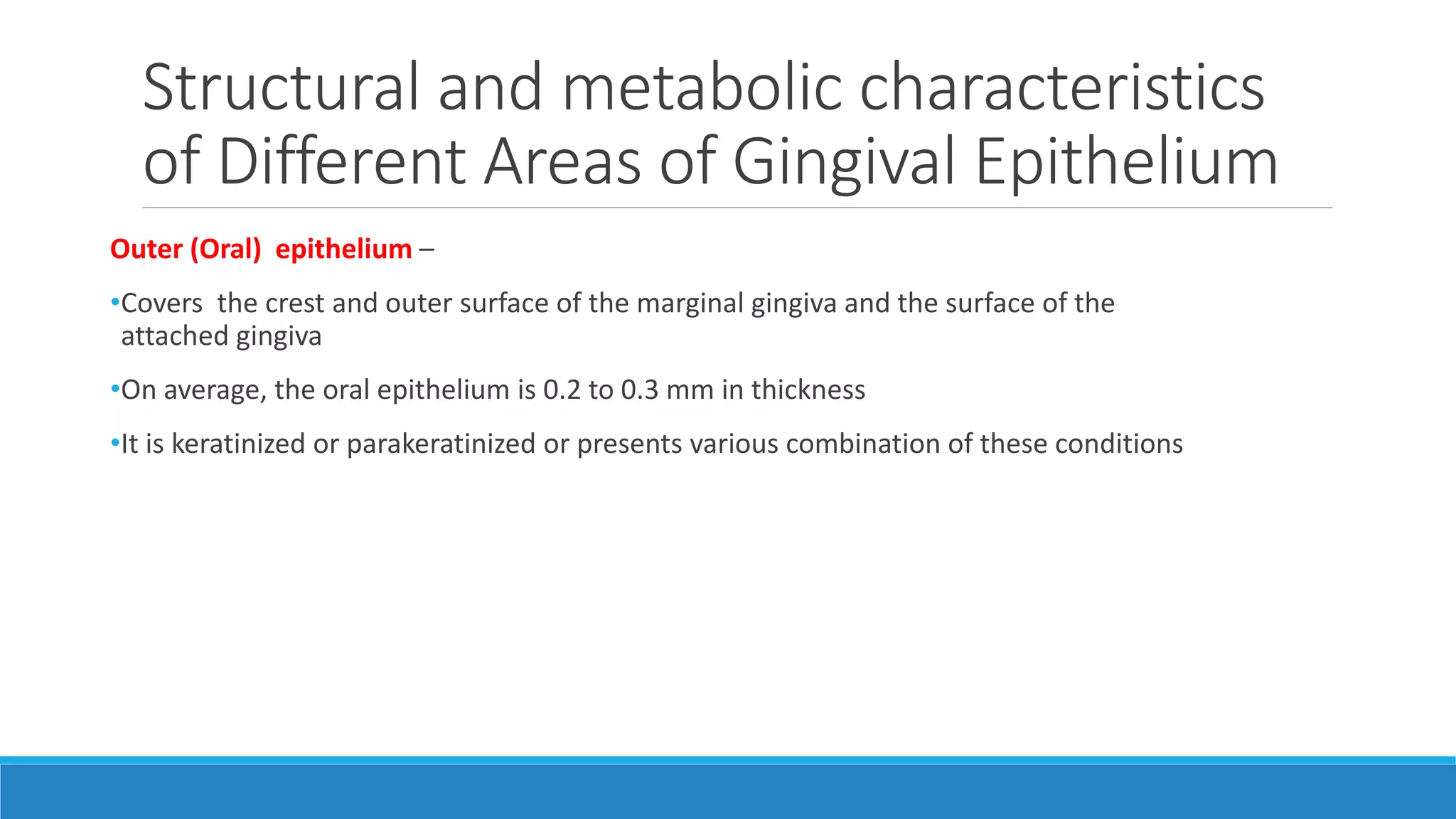 Gingiva | PPTX