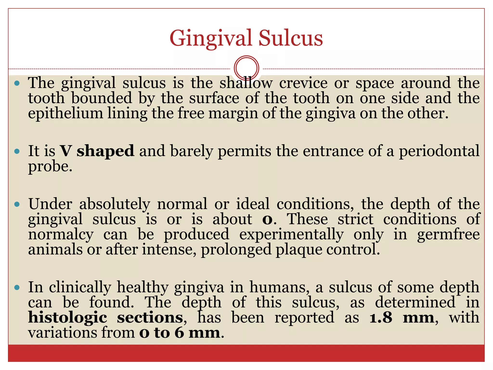 Gingiva | PPTX