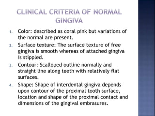 Gingiva | PPTX