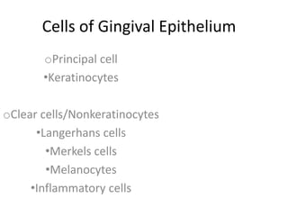 Gingiva | PPTX