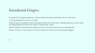 Gingiva | PPTX