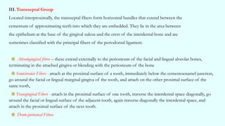 Gingiva | PPTX
