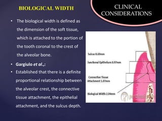 Gingiva.-. Part 1 & 2. Revised1.1.pptx