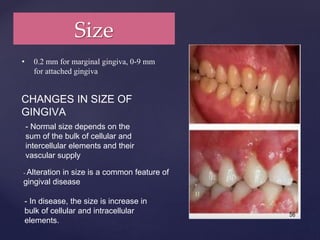 Gingiva.-. Part 1 & 2. Revised1.1.pptx