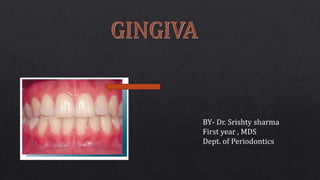 gingiva- microscopic and macroscopic featrures | PPTX