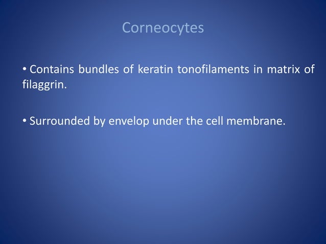 Anatomy of gingival microscopy and gingival epithelium | PPTX