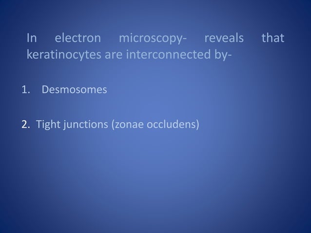 Anatomy of gingival microscopy and gingival epithelium | PPTX
