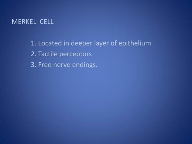 Anatomy of gingival microscopy and gingival epithelium | PPTX