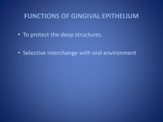 Anatomy of gingival microscopy and gingival epithelium | PPTX