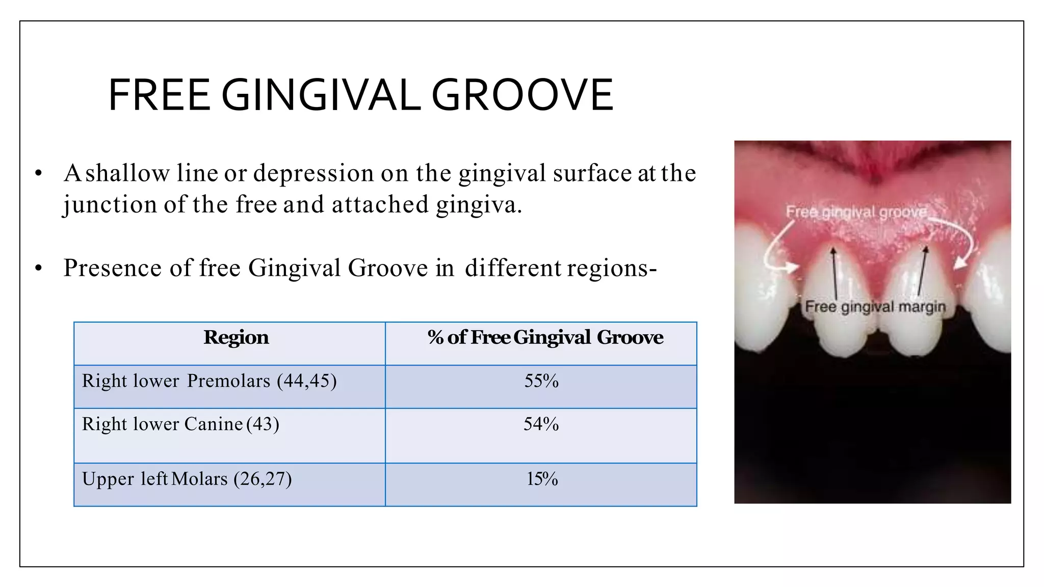 Gingiva Periodontology | PPTX