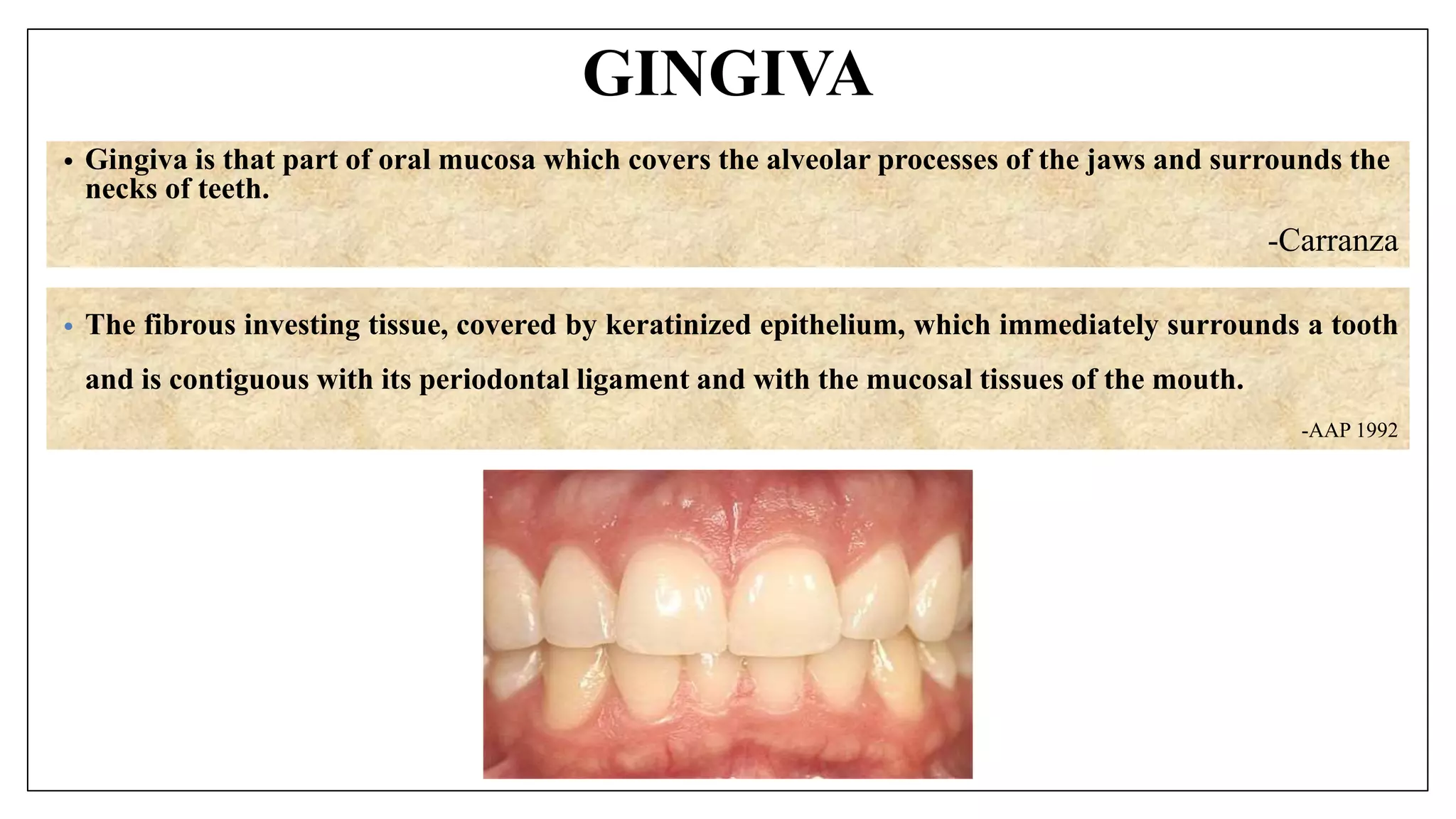Gingiva Periodontology | PPTX