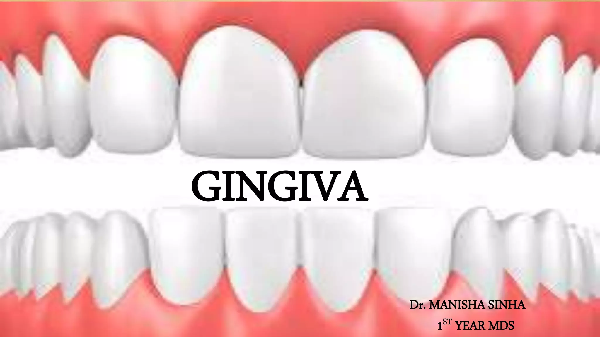 Gingiva | PPTX